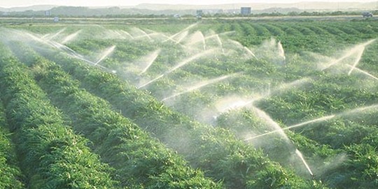 Green Morocco Plan